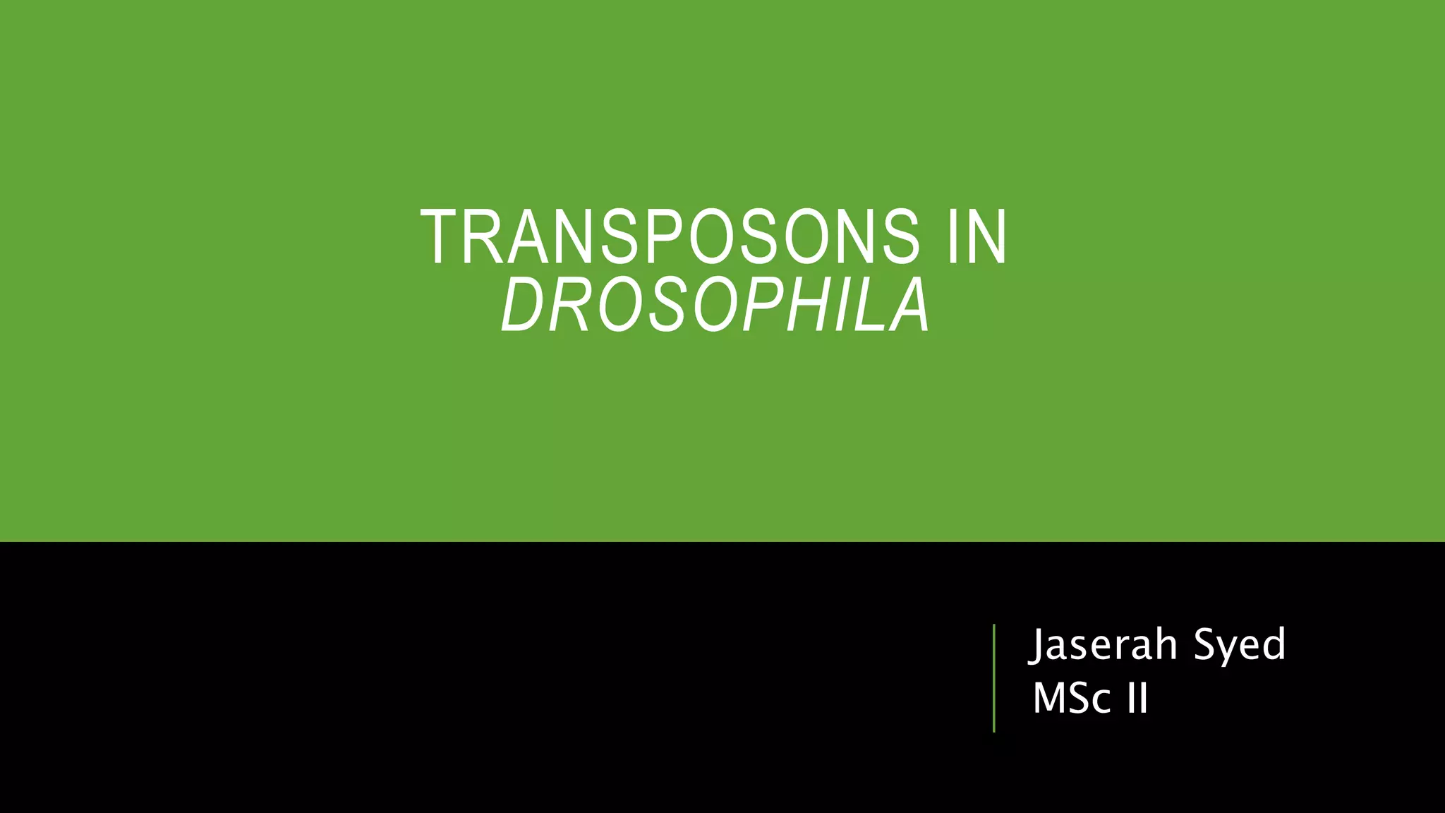 Transposons in drosophila - P element | PPTX