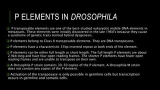 Transposons in drosophila - P element | PPTX