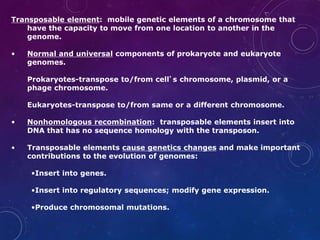 Transposons is.pptx