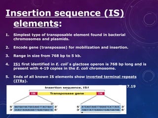 Transposons is.pptx