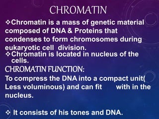 Transposons is.pptx