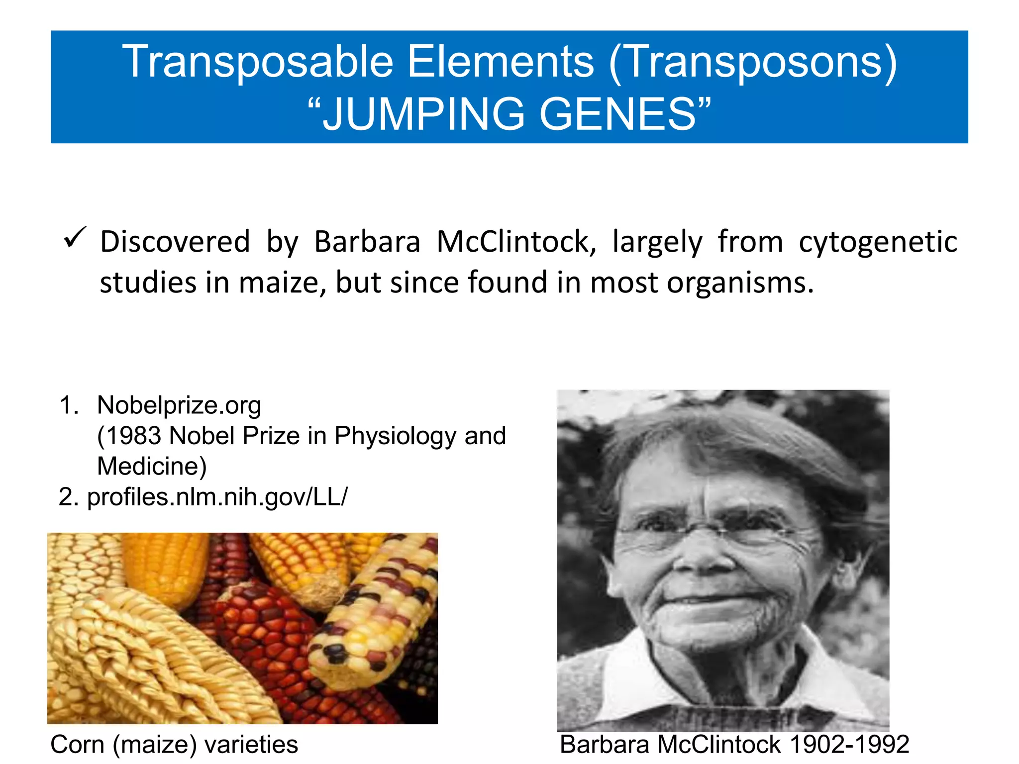 Transposons(jumping genes) | PPTX