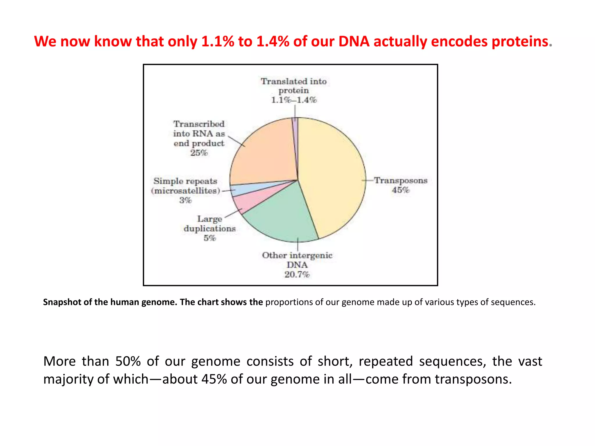 Transposons(jumping genes) | PPTX