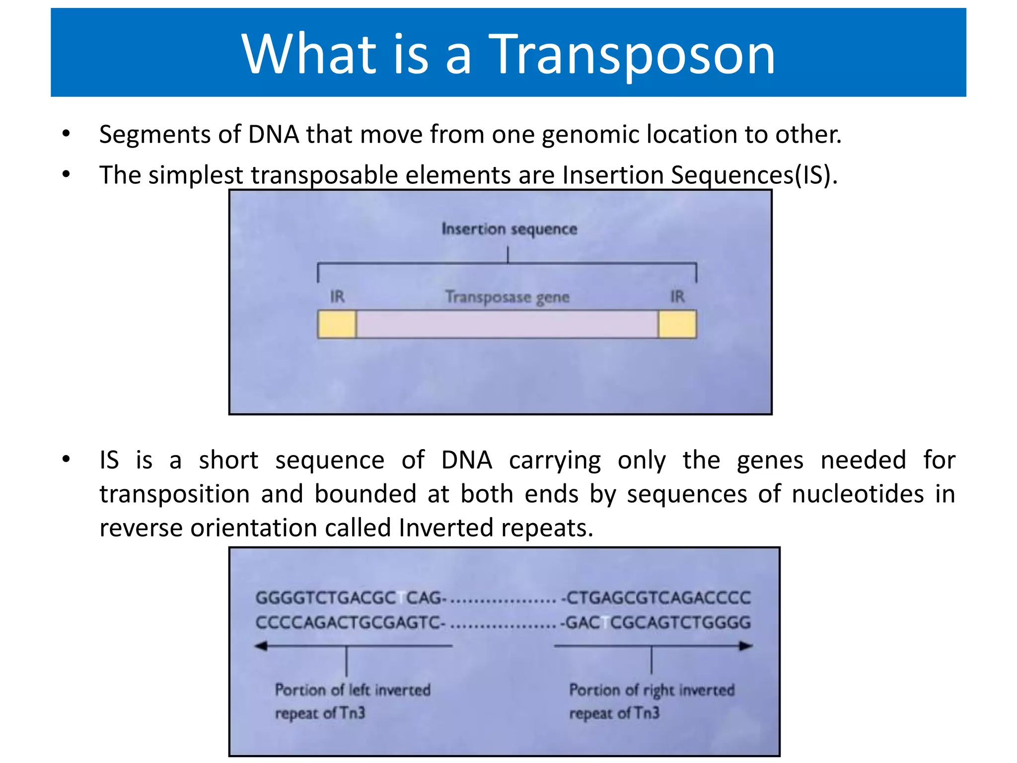 Transposons(jumping genes) | PPTX