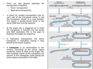 Transposons(jumping genes) | PPTX