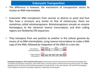 Transposons(jumping genes) | PPTX