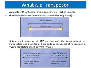 Transposons(jumping genes) | PPTX