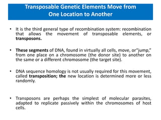 Transposons(jumping genes) | PPTX
