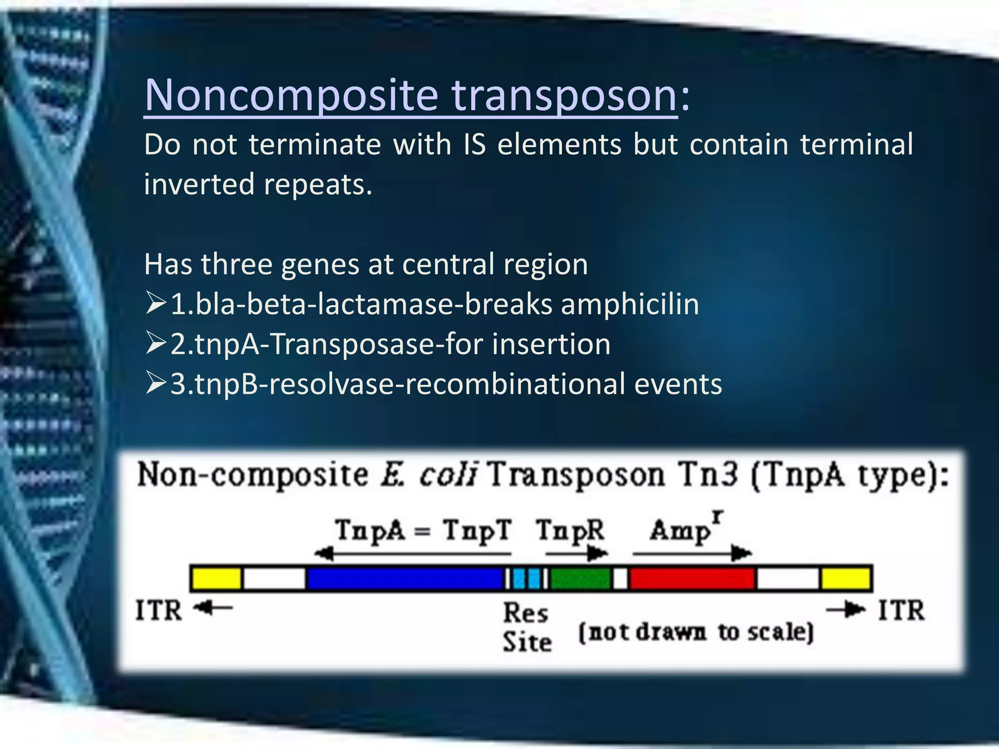 Transposons ppt | PPTX