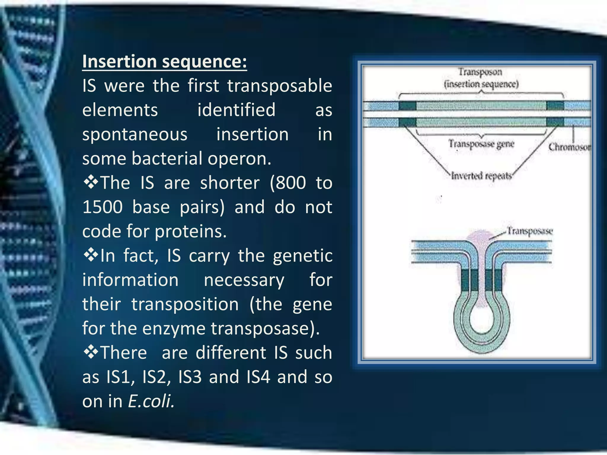 Transposons ppt | PPTX