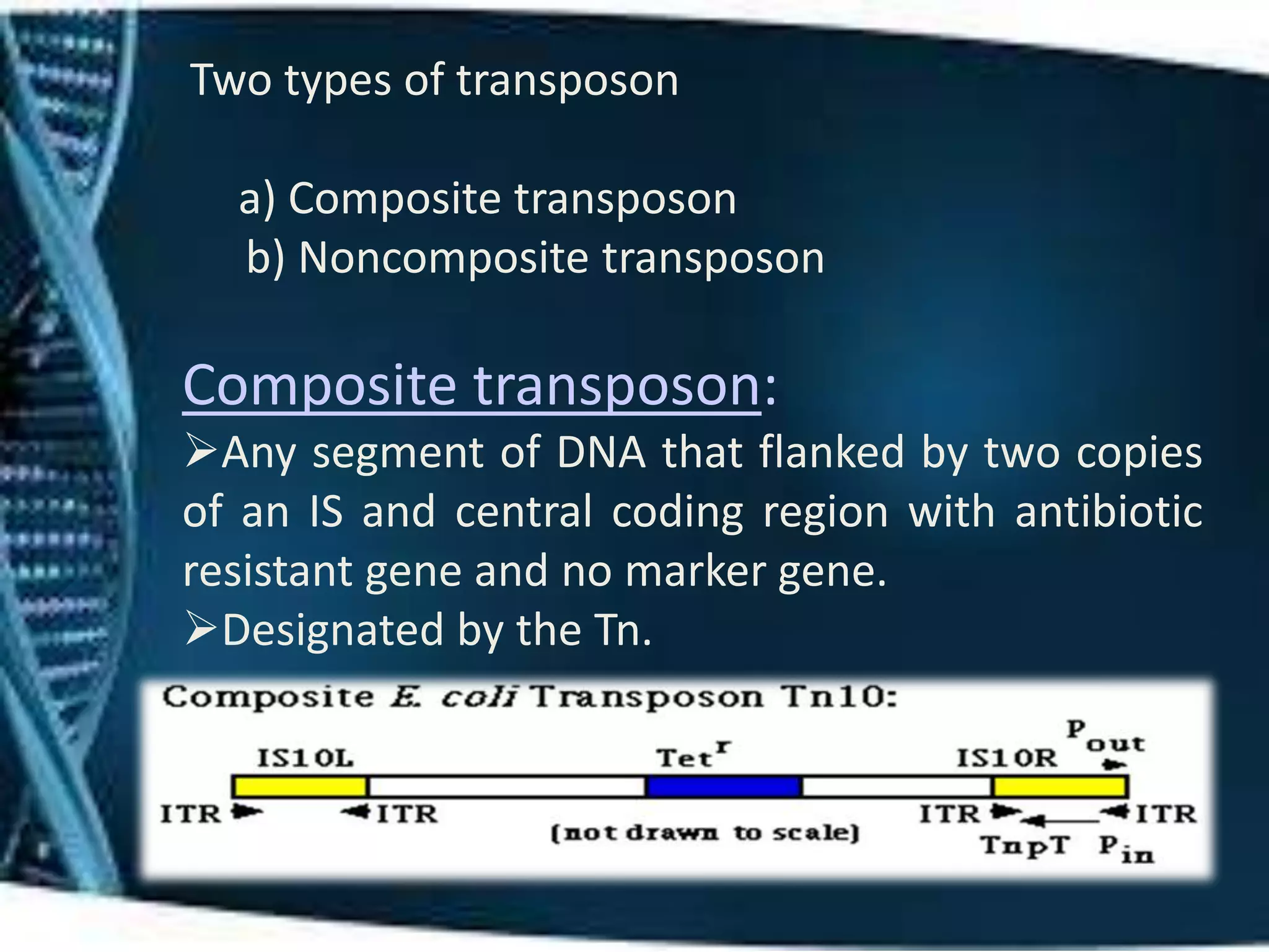 Transposons ppt | PPTX