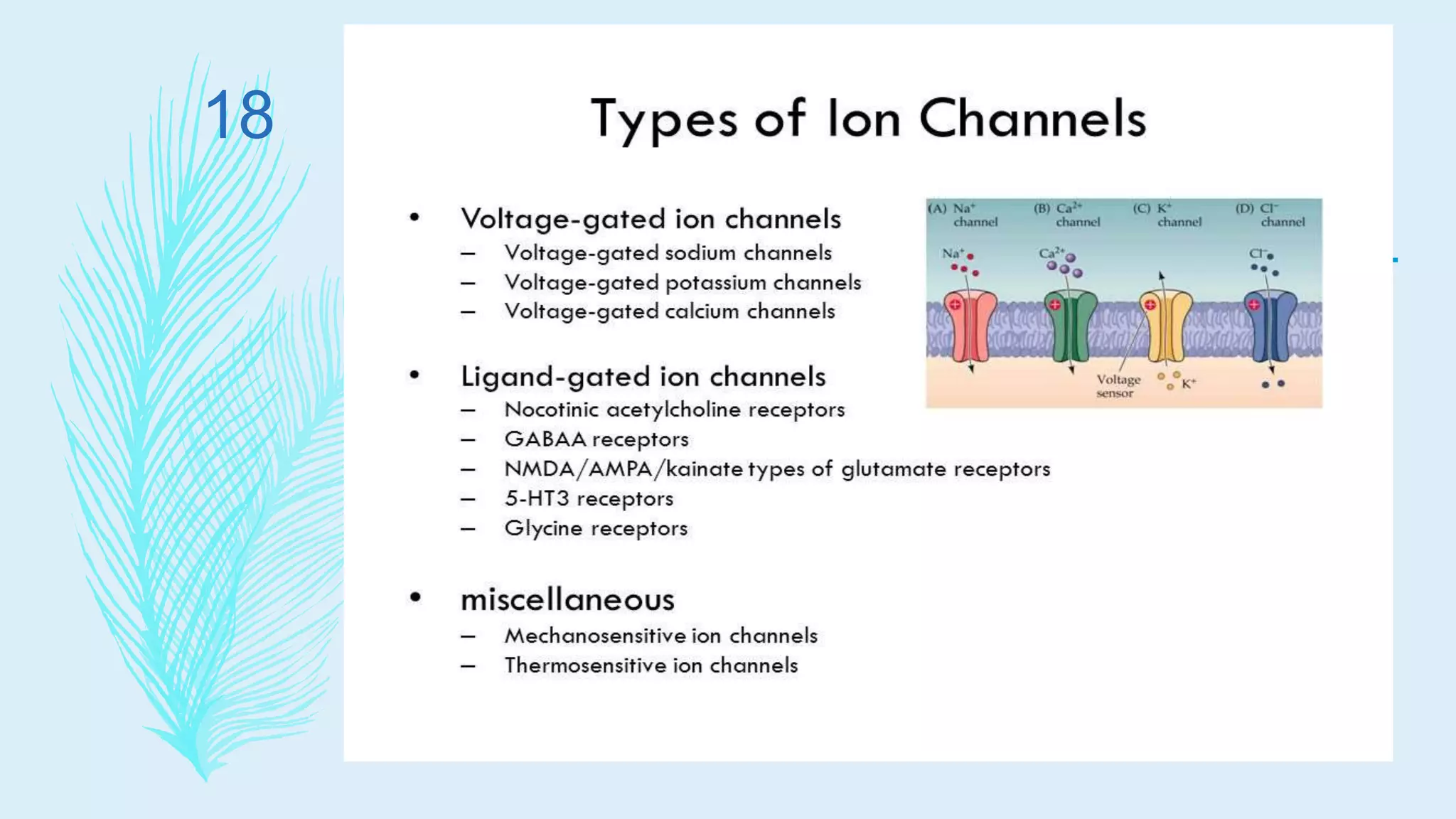 Transpoters and ion channels | PPTX