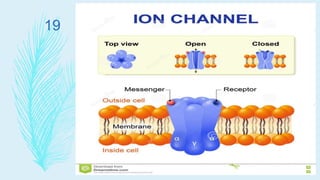 Transpoters and ion channels | PPTX