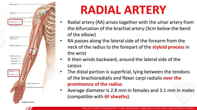 TRANSRADIAL ACCESS.pdf