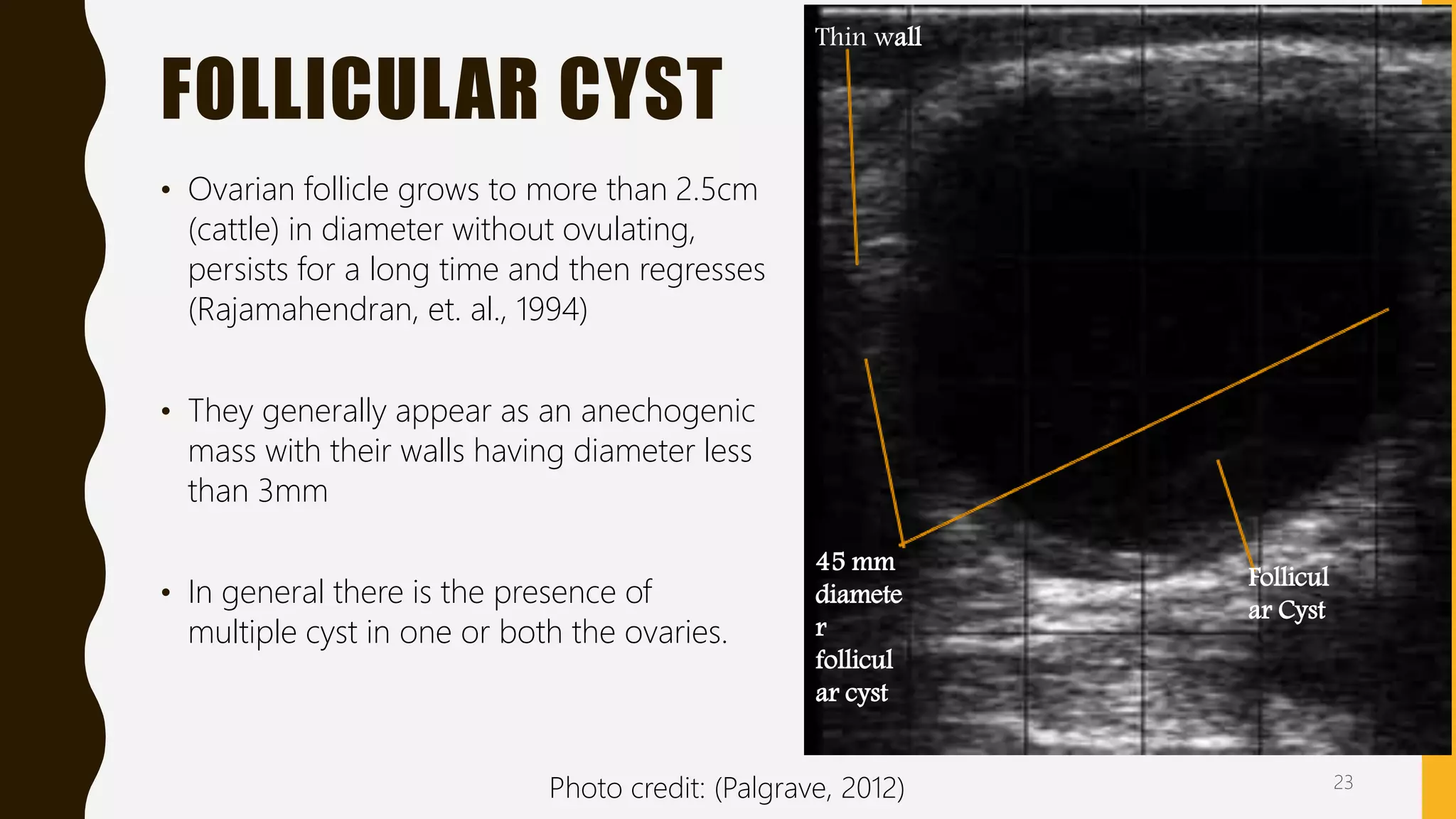 Transrectal ultrasonography in reproductive management of cattle | PPTX