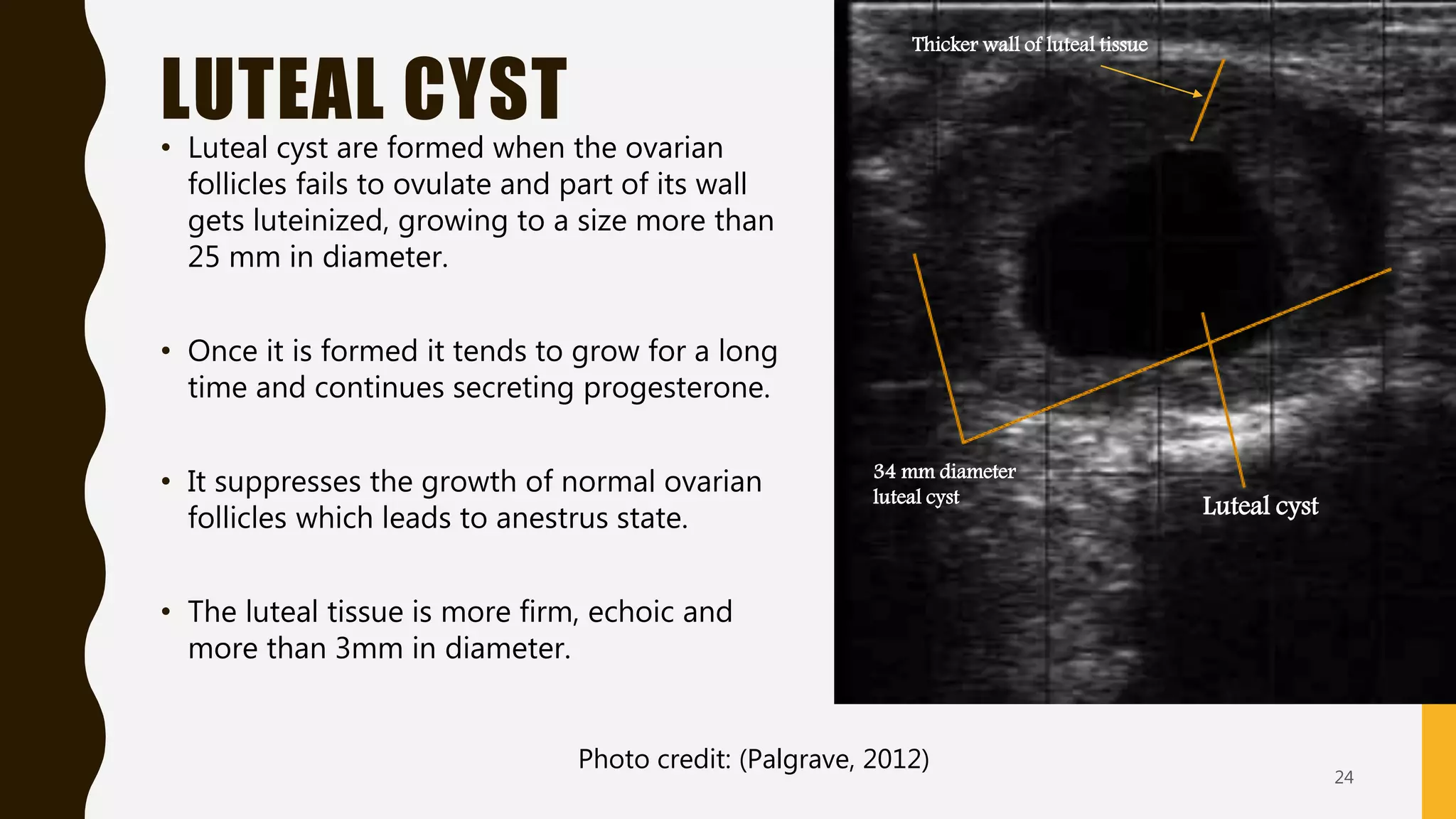 Transrectal ultrasonography in reproductive management of cattle | PPTX
