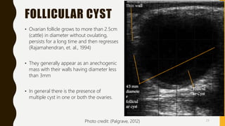 Transrectal ultrasonography in reproductive management of cattle | PPTX