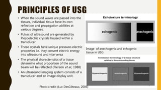 Transrectal ultrasonography in reproductive management of cattle | PPTX