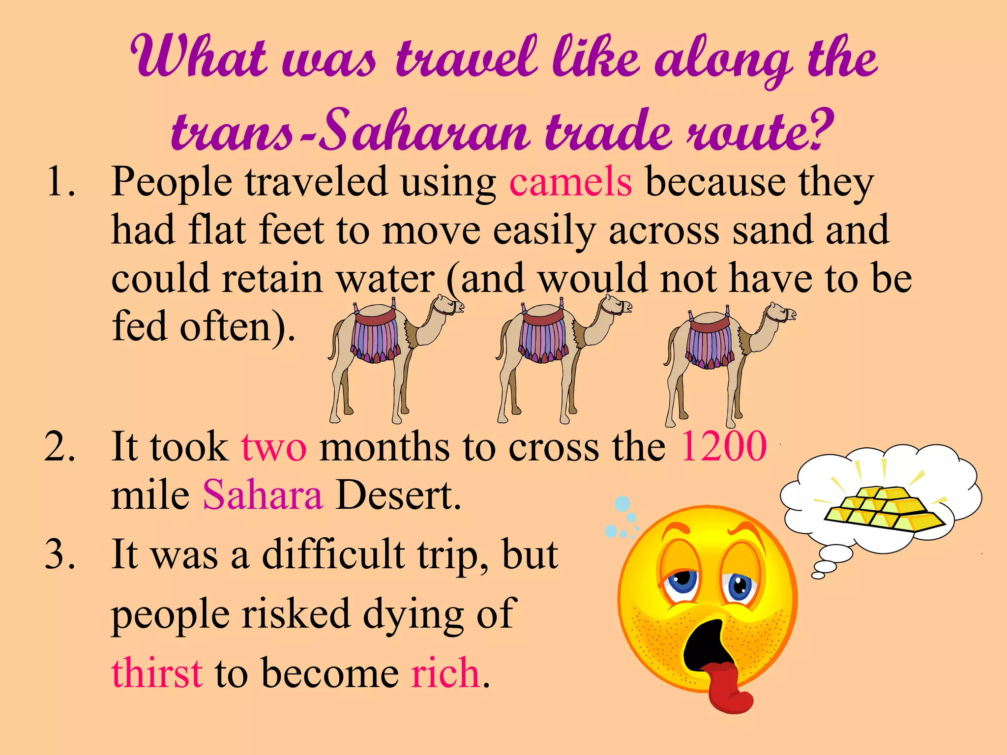 Transsaharantradenetwork | PPT