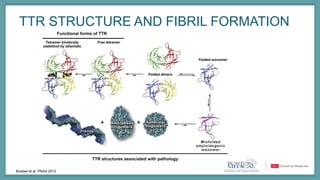 Transthyretin(TTR) amyloidosis | PDF