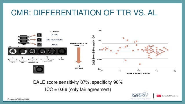 Transthyretin(TTR) amyloidosis