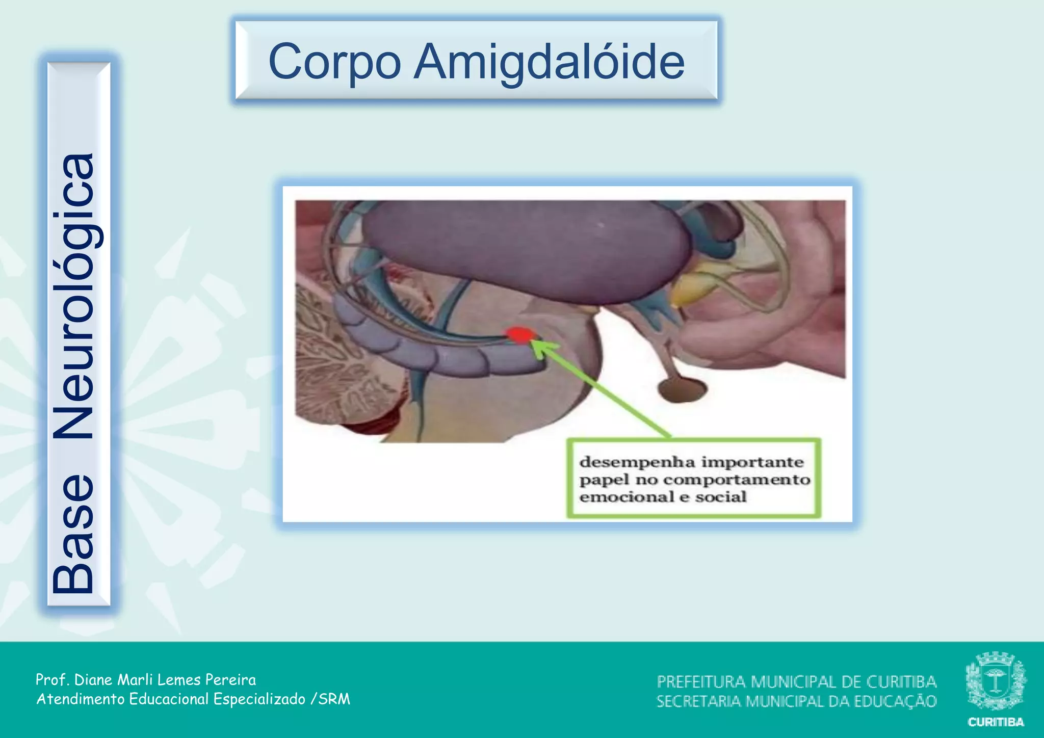 Transtorno do espectro do autismo prof. diane 2019 | PDF