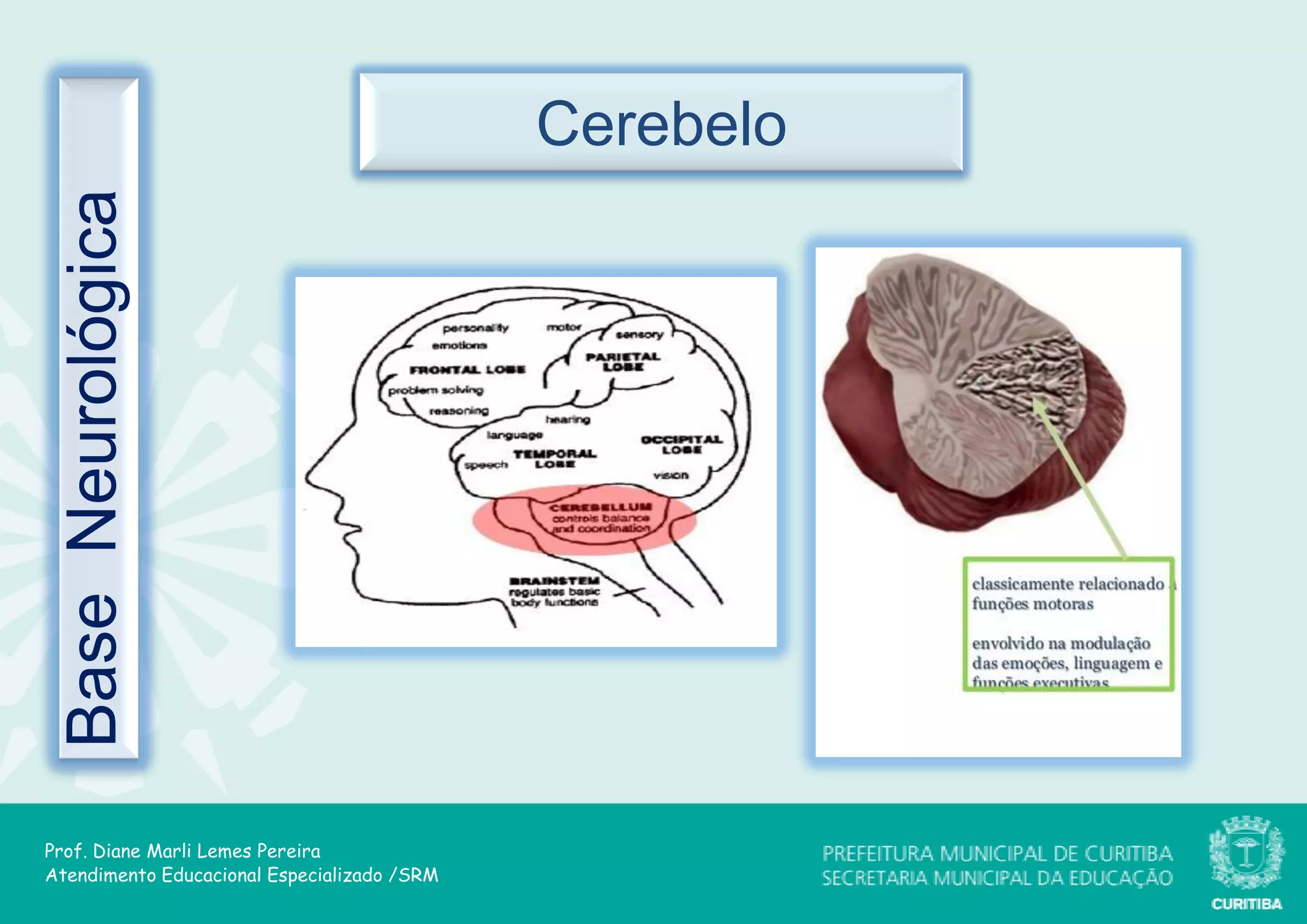 Transtorno do espectro do autismo prof. diane 2019 | PDF