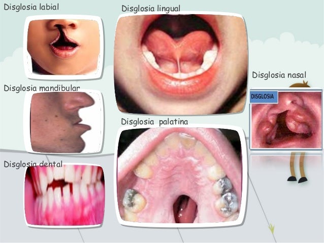 Ana Cristina Martínez – El aula de Ana.