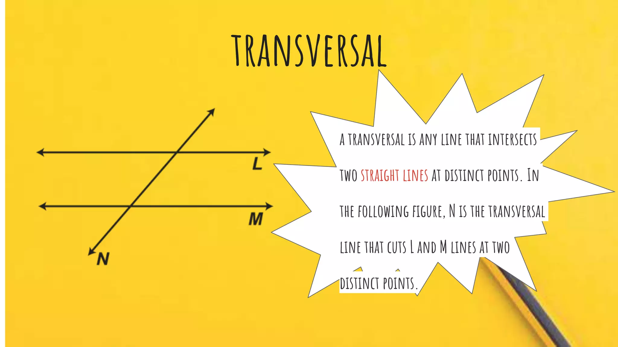 TRANSVERSAL.pptx