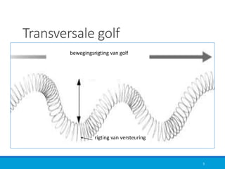 Transversale golwe.pptx