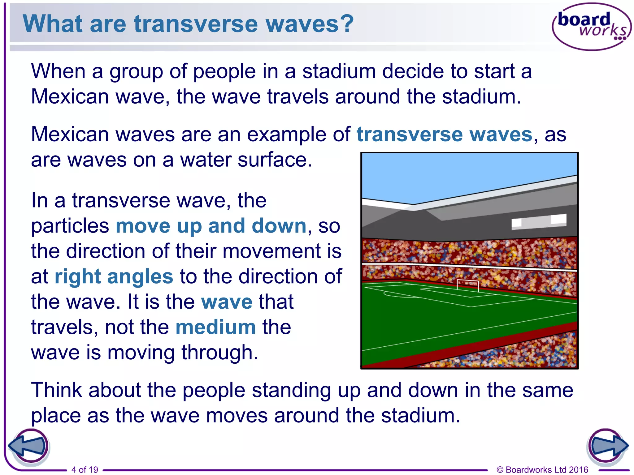 Transverse-and-Longitudinal-Waves.pdf