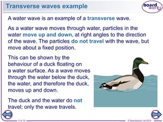 Transverse-and-Longitudinal-Waves.pdf