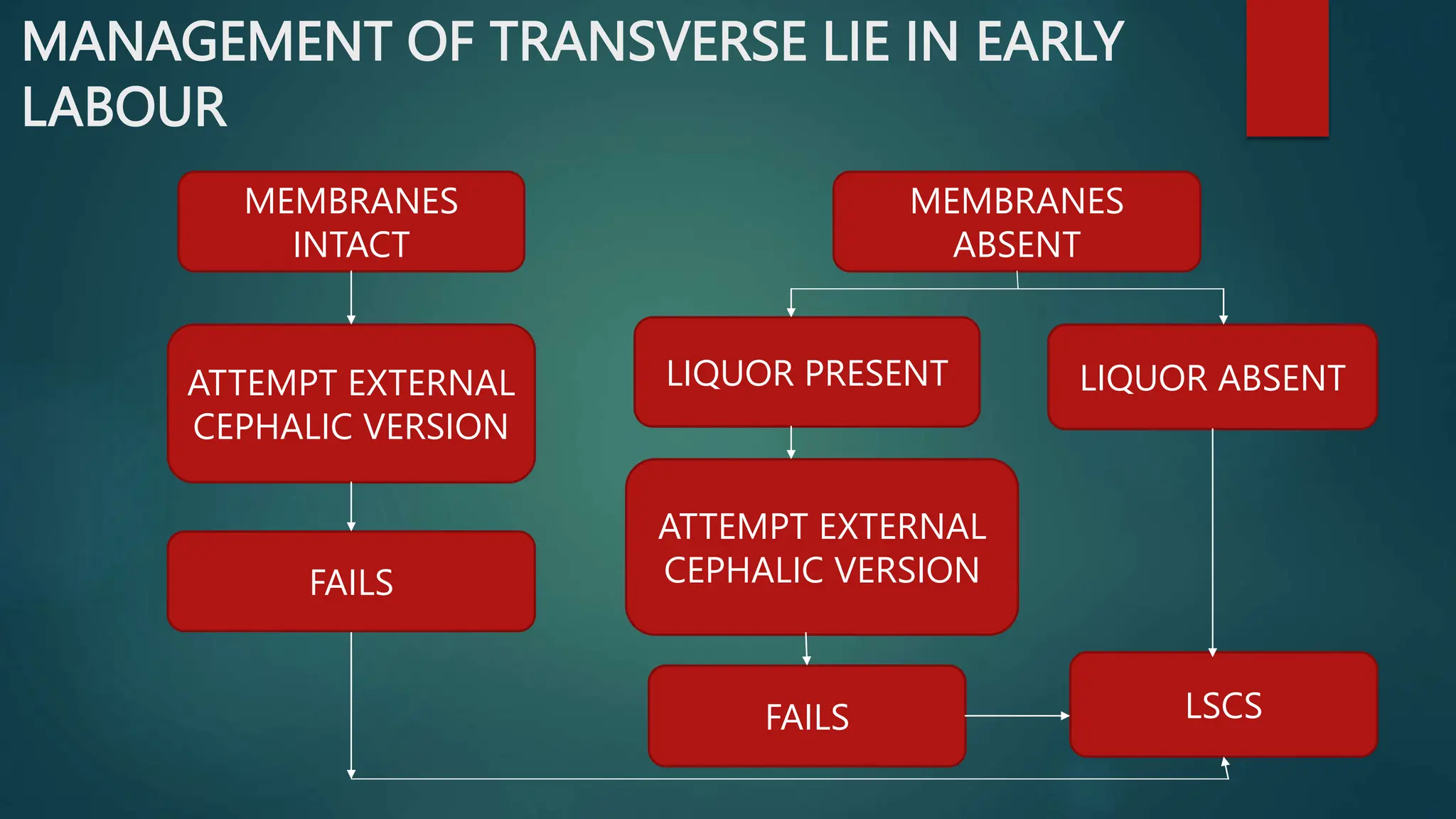 Management of pregnancies with transverse lie.pptx