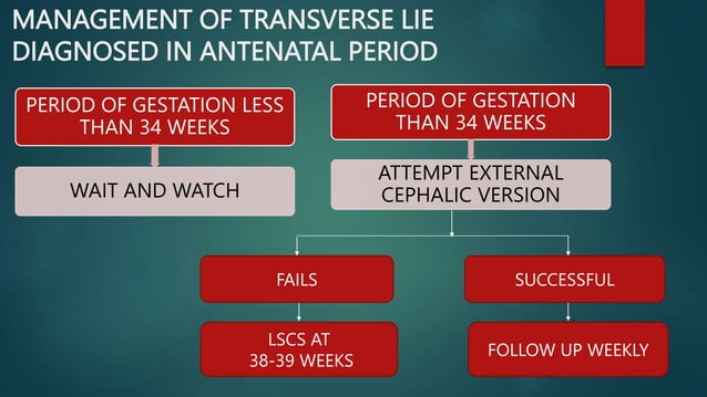 Management of pregnancies with transverse lie.pptx