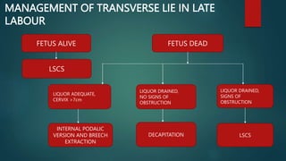 Management of pregnancies with transverse lie.pptx