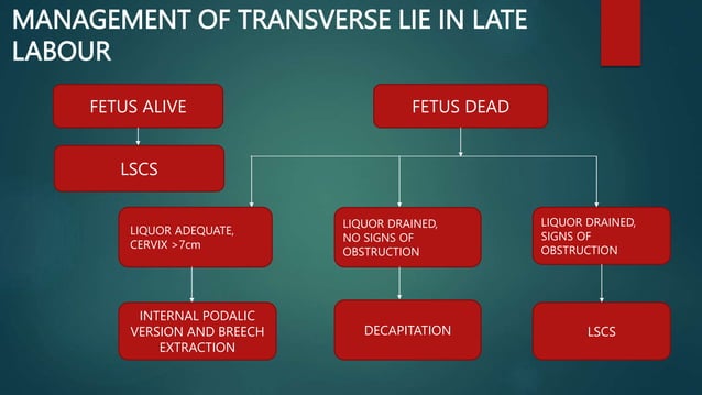 Management of pregnancies with transverse lie.pptx