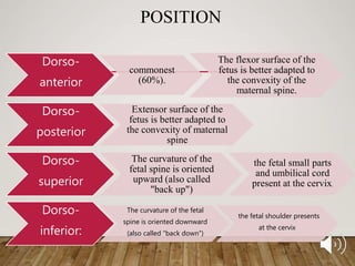 Transverse lie | PPTX