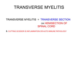 Transverse myelitis shotrest dsecription | PPTX