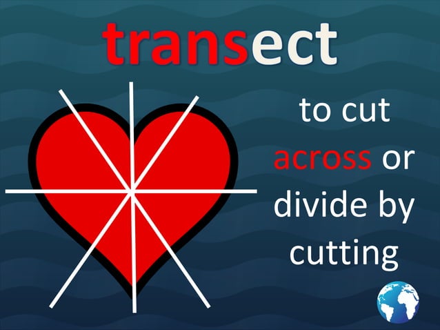 Trans vocabulary words | PPT