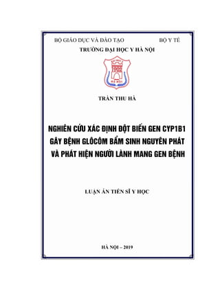 Luận án: Xác định đột biến gen CYP1B1 gây bệnh glôcôm bẩm sinh | PDF
