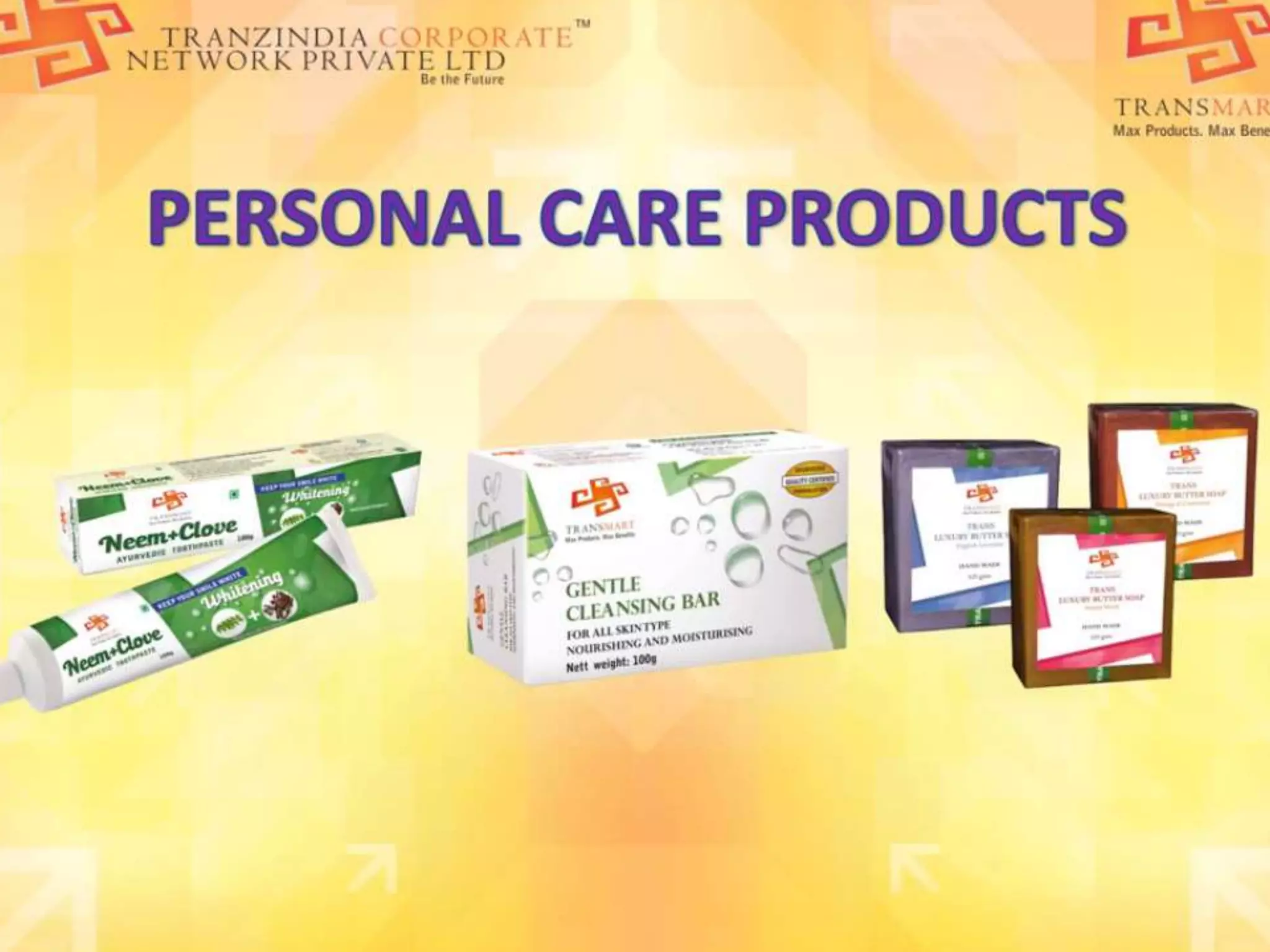 Tranz india corparte network ltd | PPT