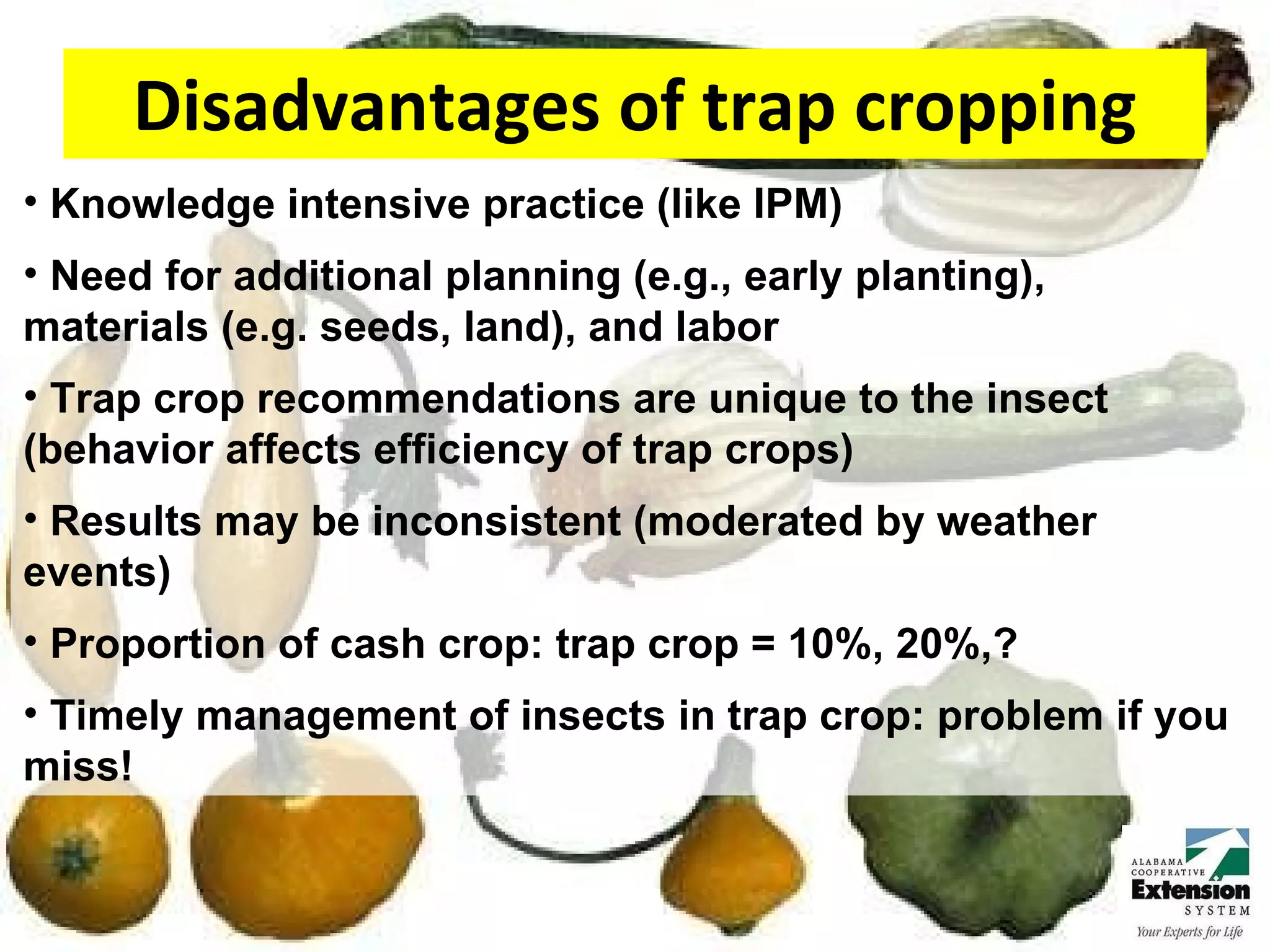 Trap Cropping Techniques | PPT