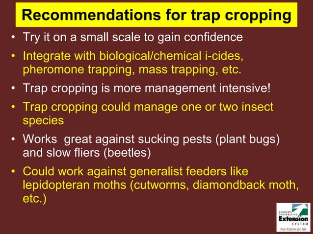 Trap Cropping Techniques | PPT
