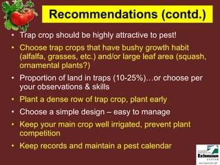 Trap Cropping Techniques | PPT