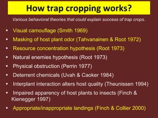 Trap Cropping Techniques | PPT
