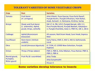 trap cropping 2022.pdf