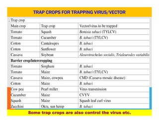 trap cropping 2022.pdf