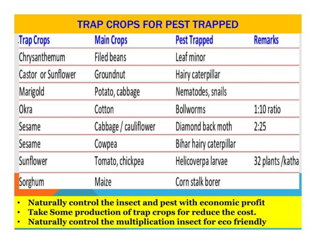 trap cropping 2022.pdf | Agriculture | Industries