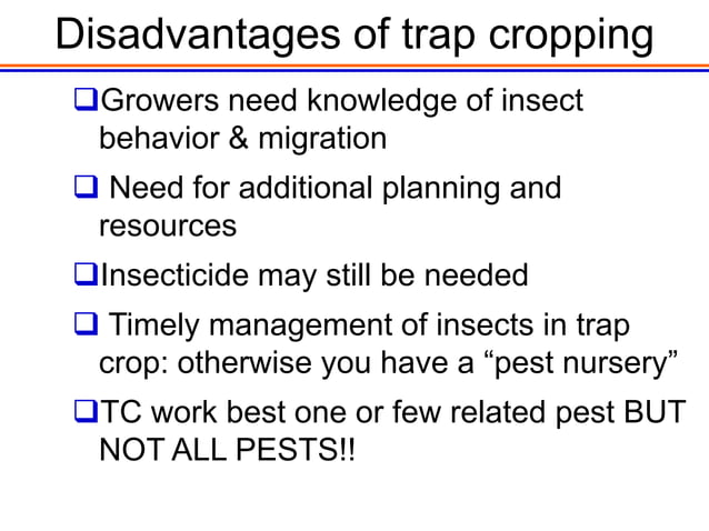 Trap cropping in vegetables 2012 | PPT