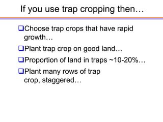 Trap cropping in vegetables 2012 | PPTX